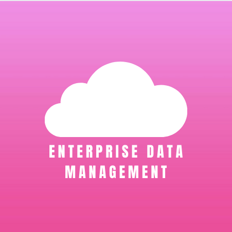 Oracle EDM: Using Reference Dimensions
